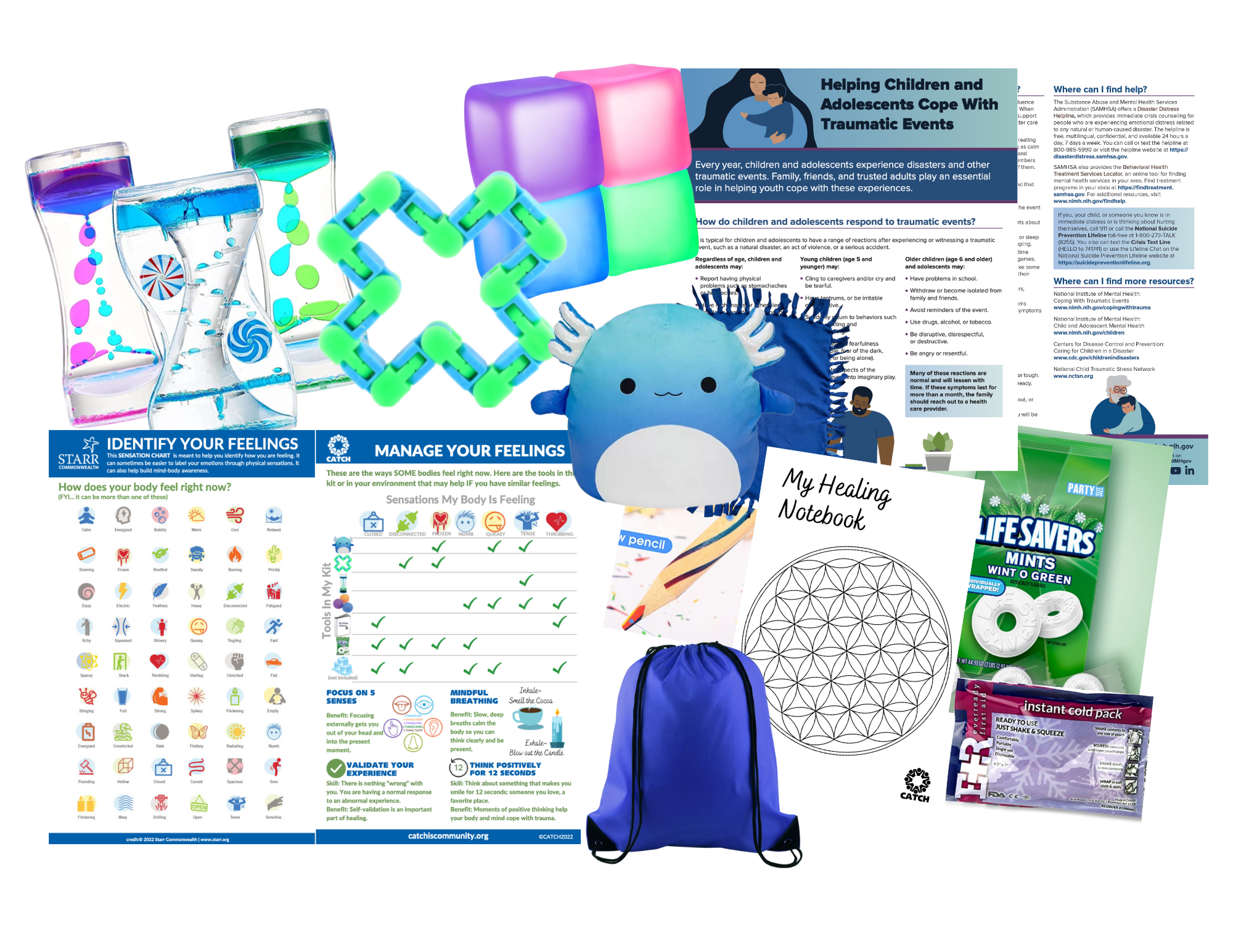 Comfort Kits Professional Implementation Guide | CATCH